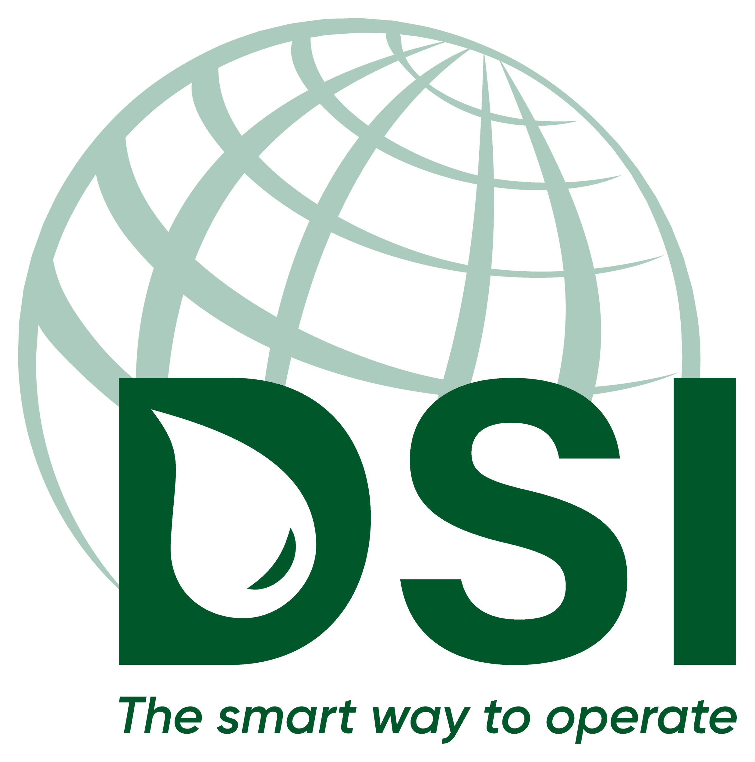 DSI Logo with Tagline RGB (2) | Johnny Flash Productions